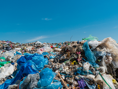 Ultra Fast Fashion and Haul Culture – Retold Recycling