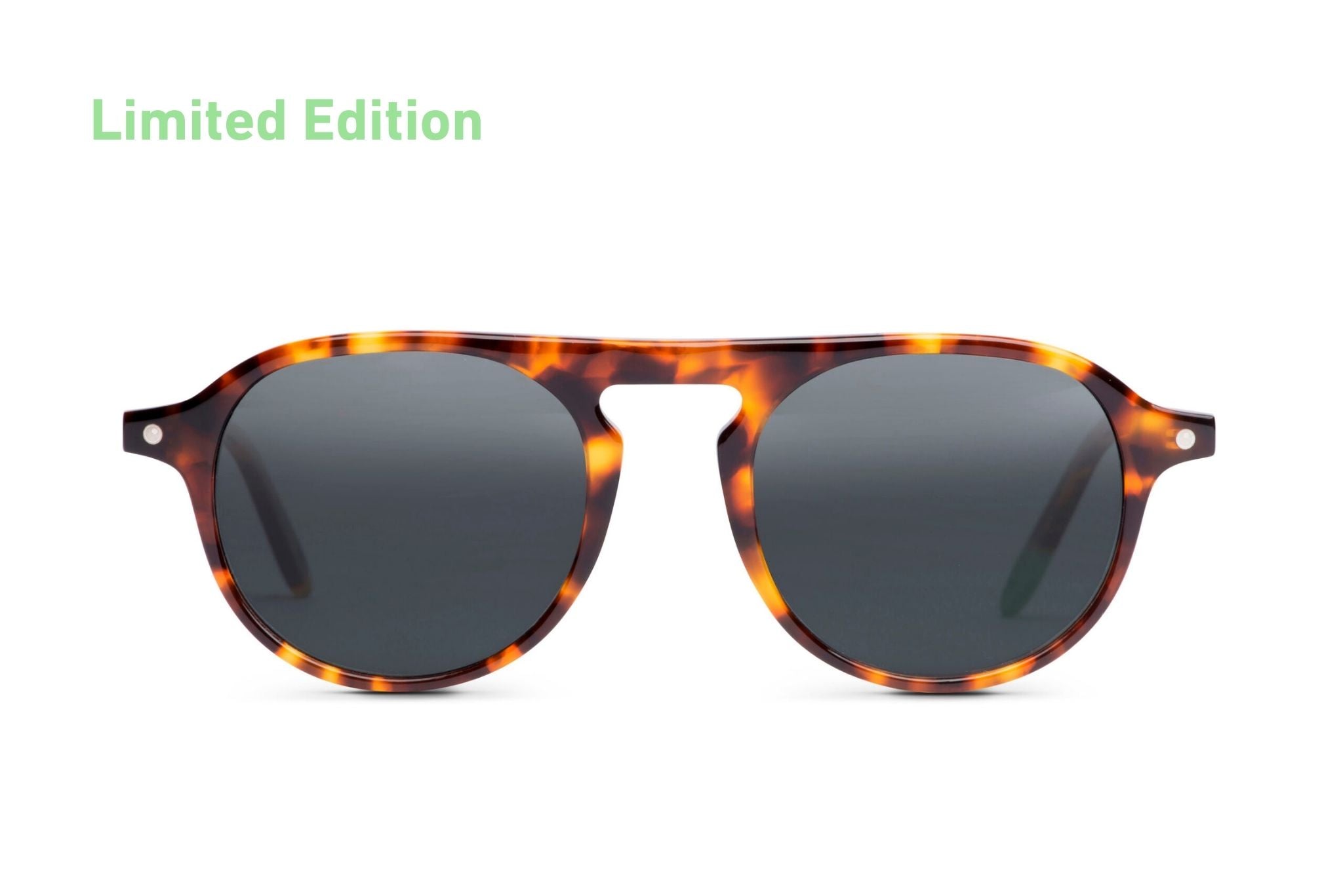 Otaaki: Zingaro – Tortoise - SUN – Retold Recycling